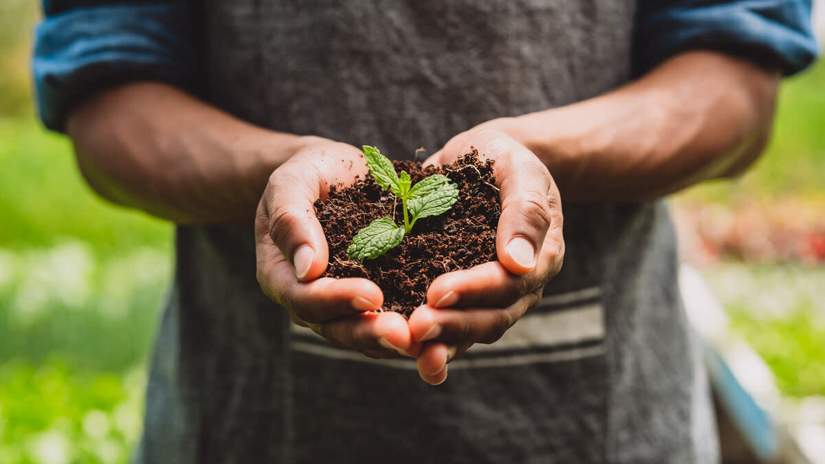 KAL Group - South Africa - Who We Are | KAL Group - South Africa