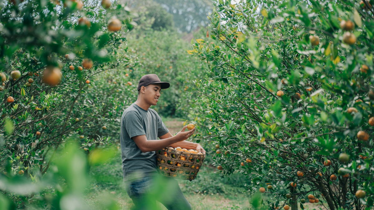 KAL Group - South Africa - Forging our future: Insights from KAL's ...