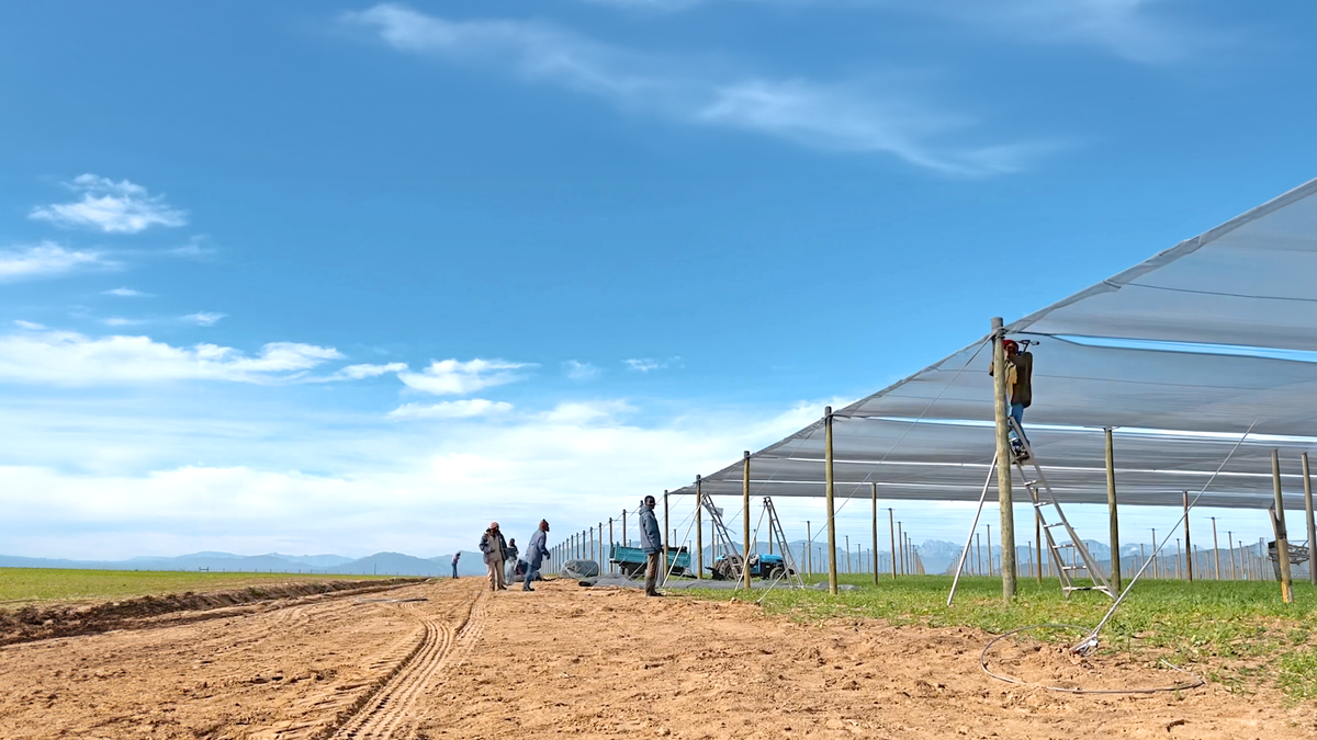 KAL Group - South Africa - Agrimark’s new turnkey professional service